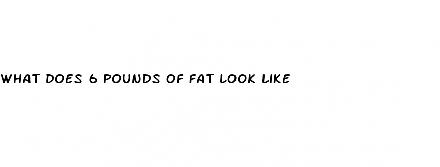 Best Weight Loss Pills in 2021 What Does 6 Pounds Of Fat Look Like